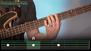 30-day Bassist
